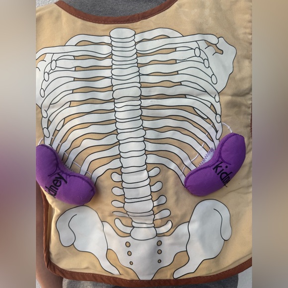 Toys | Anatomy Plush Toy Set | Poshmark